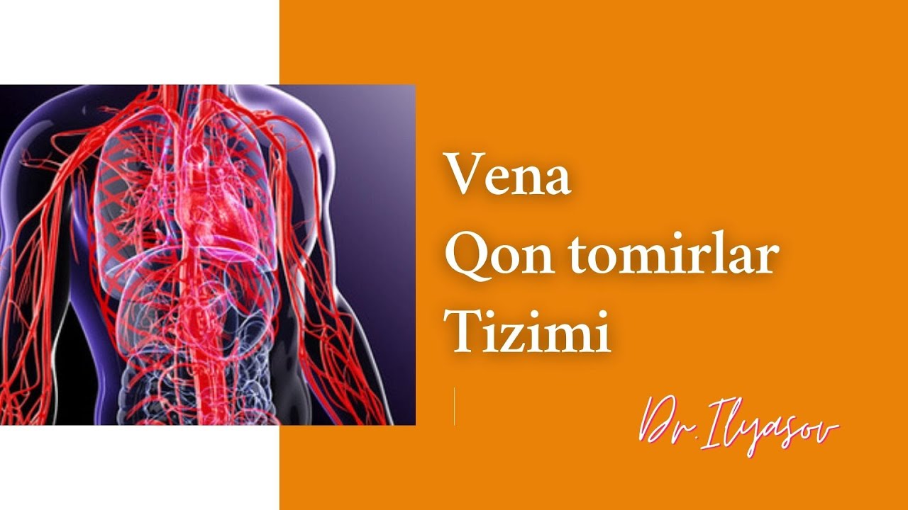 𝗩𝗘𝗡𝗔 | 𝗩𝗘𝗡𝗔 𝗧𝗢𝗠𝗜𝗥𝗟𝗔𝗥 𝗧𝗜𝗭𝗜𝗠𝗜 - YouTube