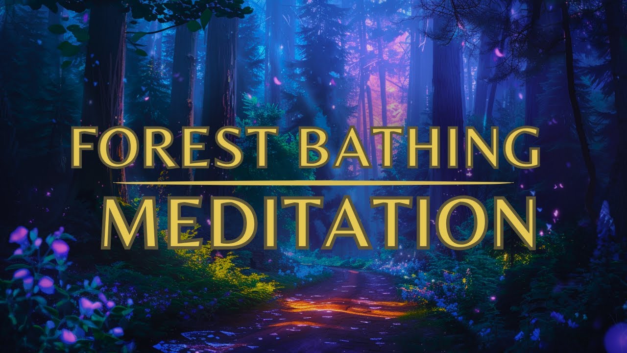 Guided Meditation for Sleep - The Forest Bathing Meditation - SLEEP ...