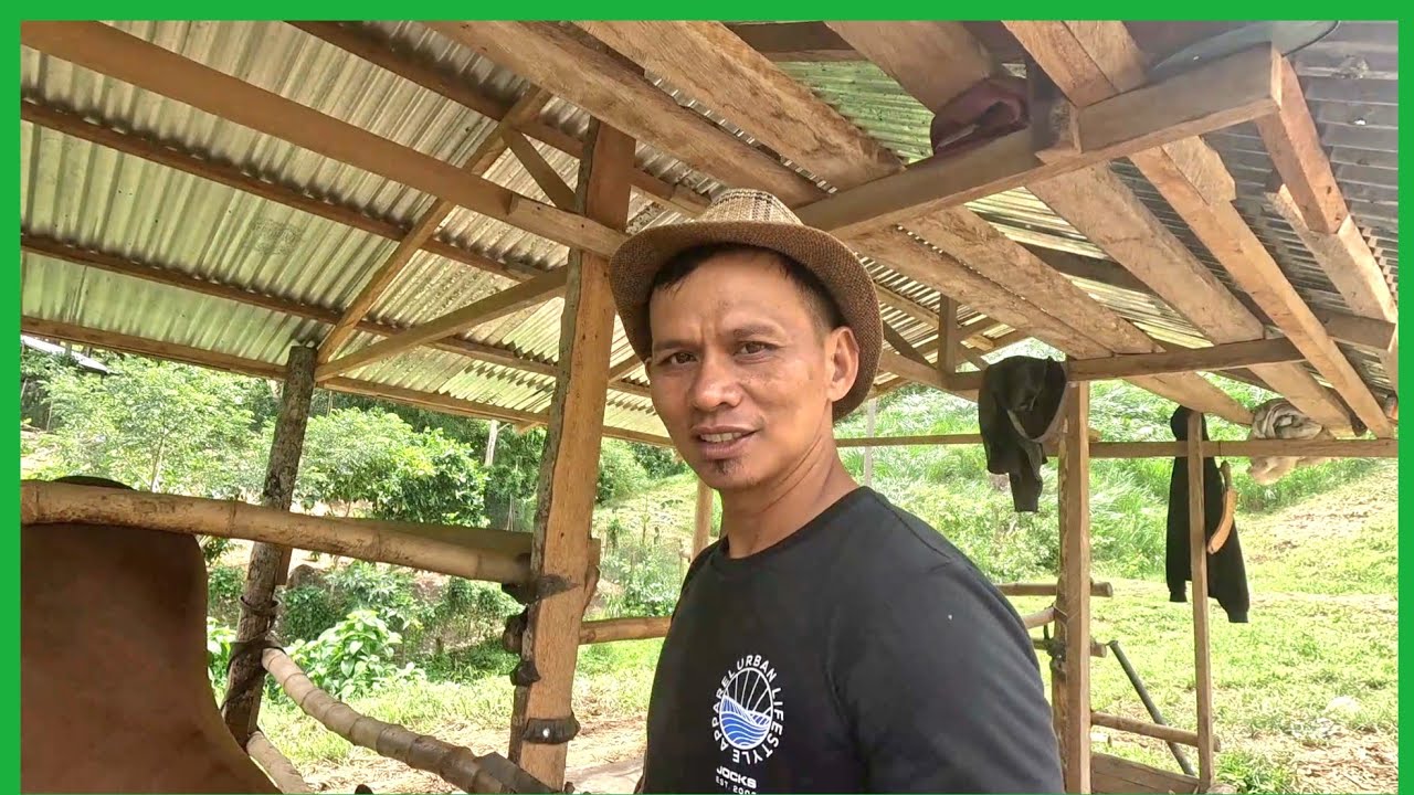 MAY PINUNTAHAN KAMING KALABAW SA BUNDOK PARA PANG-ARARO - YouTube