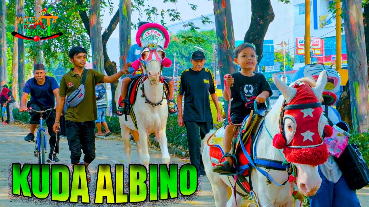 KUDA DELMAN | KUDA TUNGGANG | KUDA ALBINO - SHOLAWAT RAHMATUN LIL ...