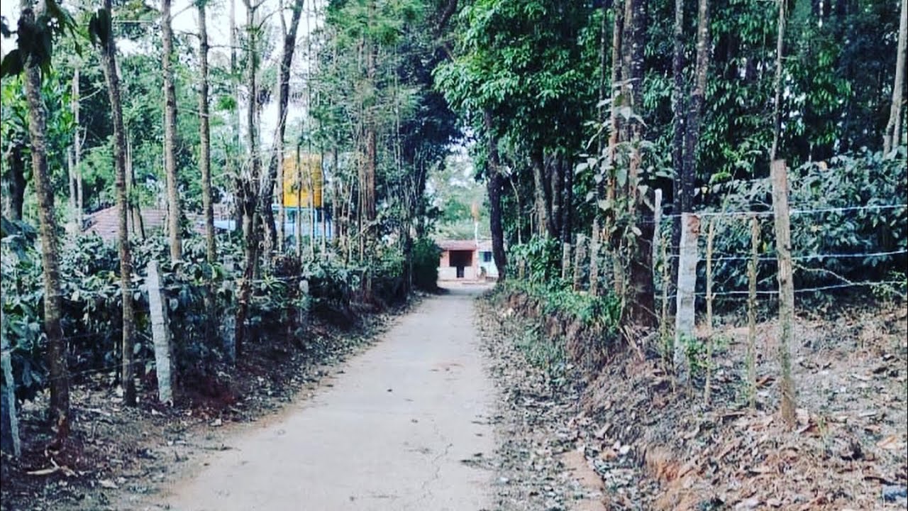 10 Gunta plantation for sale near Chikkamagaluru - YouTube