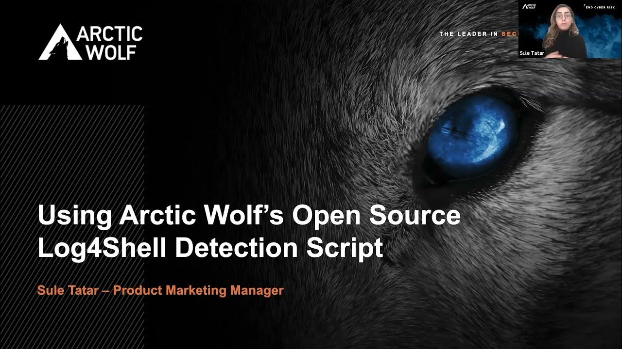 Using Arctic Wolf’s Open Source Log4Shell Detection Script - YouTube