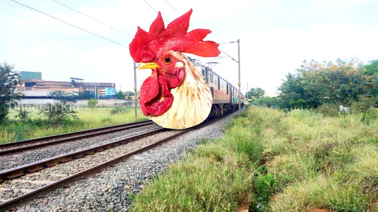 Funny Hen Train | Dheeran Kid | Funny Train Videos | @Gondezz | 28 ...