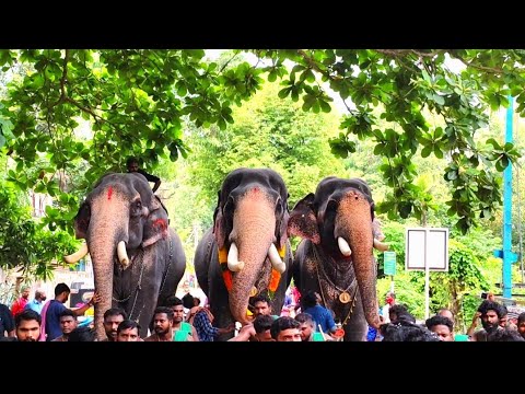 Mangalamkunnu ayyappan Ambadi balan Ambadi Balanarayanan ushasree ...