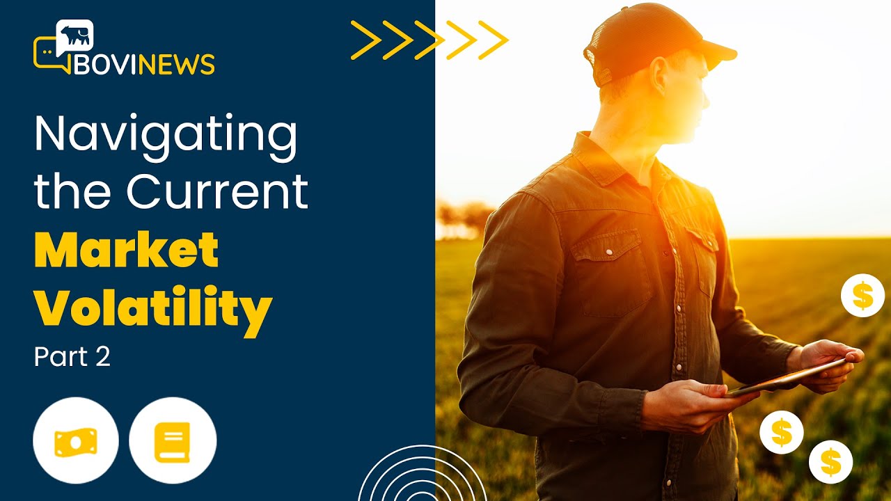 Webinar: Navigating the Current Market Volatility - Part 2 - YouTube