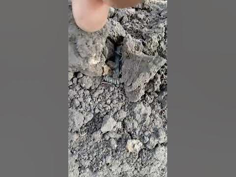 намистинка і шпилька - YouTube
