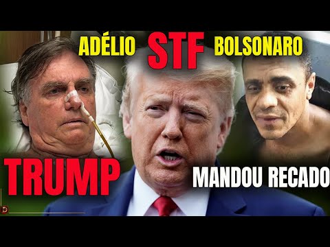 “Adélio, STF e Bolsonaro: fontes internacionais analisadas – Trump se manifesta”