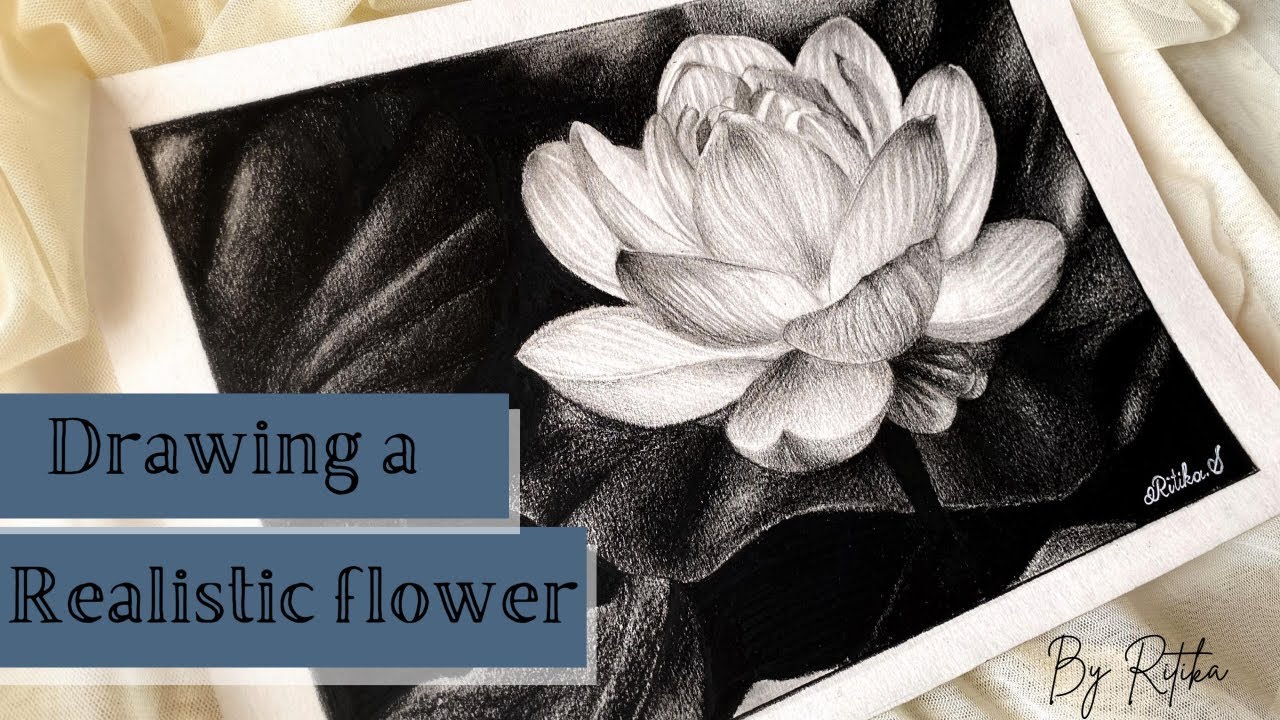 Drawing a Realistic Flower - YouTube