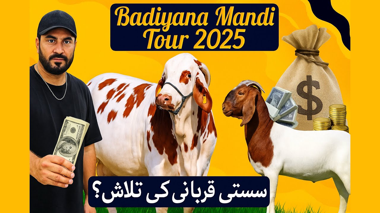 Badiyana Mandi or Sialkot Akbrabad Mandi main kya farq hai #sialkot # ...
