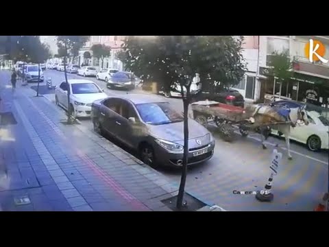 Orhangazi Caddesinde Başıboş Gezen At Arabası Heyecan Yarattı