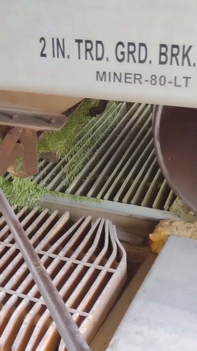 Union Pacific hopper car unloading peas. - YouTube