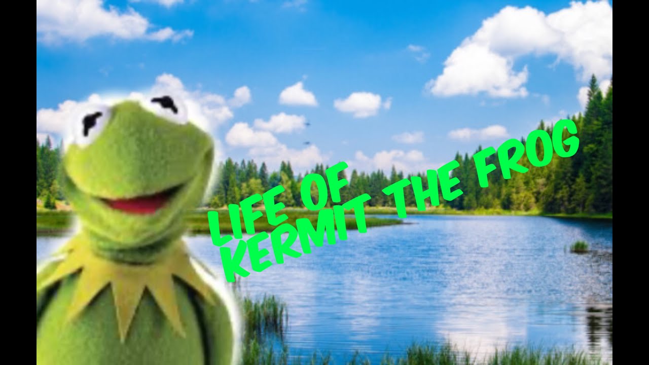 The life of Kermit the frog - YouTube