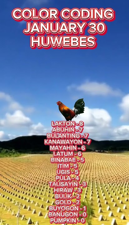 January 30,2025 color coding guide manok - YouTube