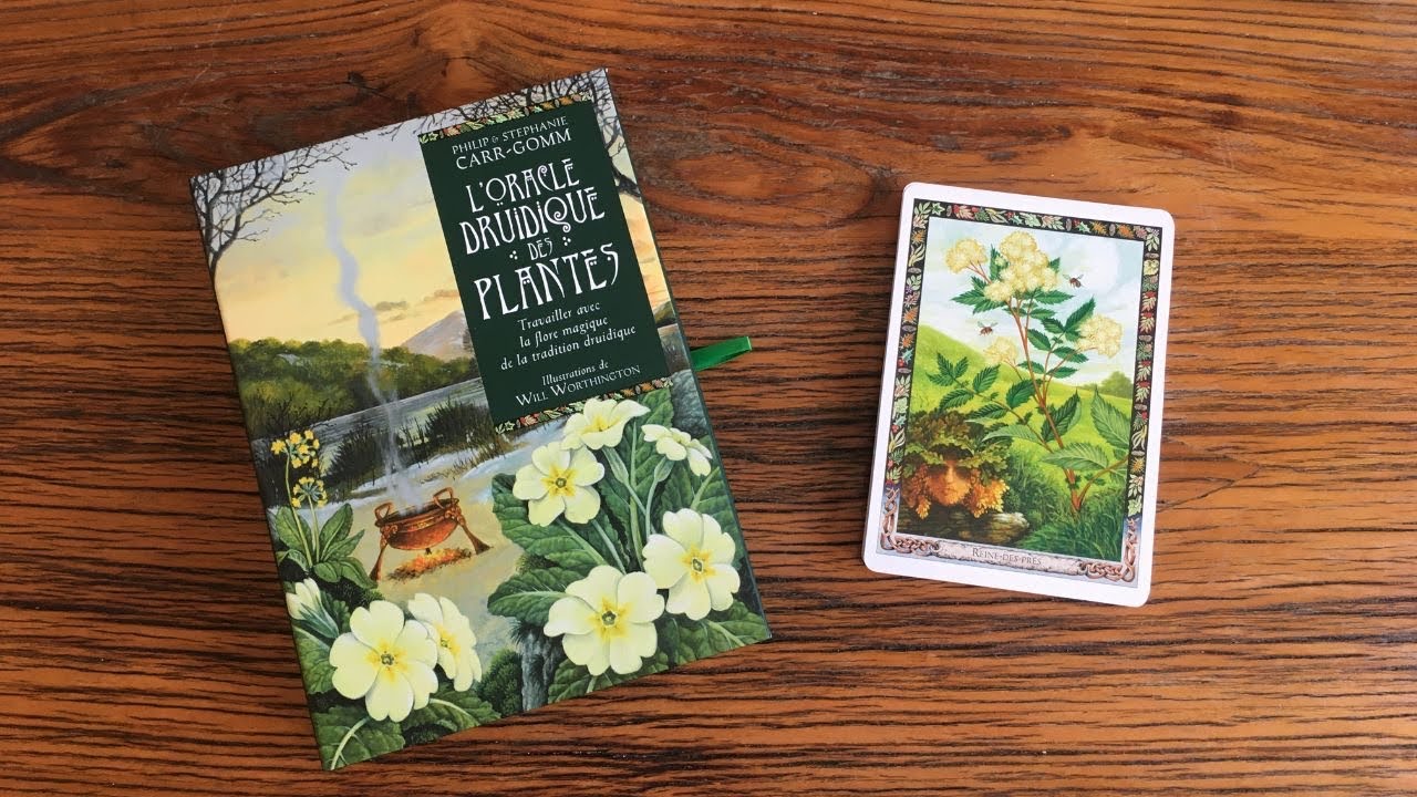 L'Oracle Druidique des Plantes - Expérience et ressentis - YouTube