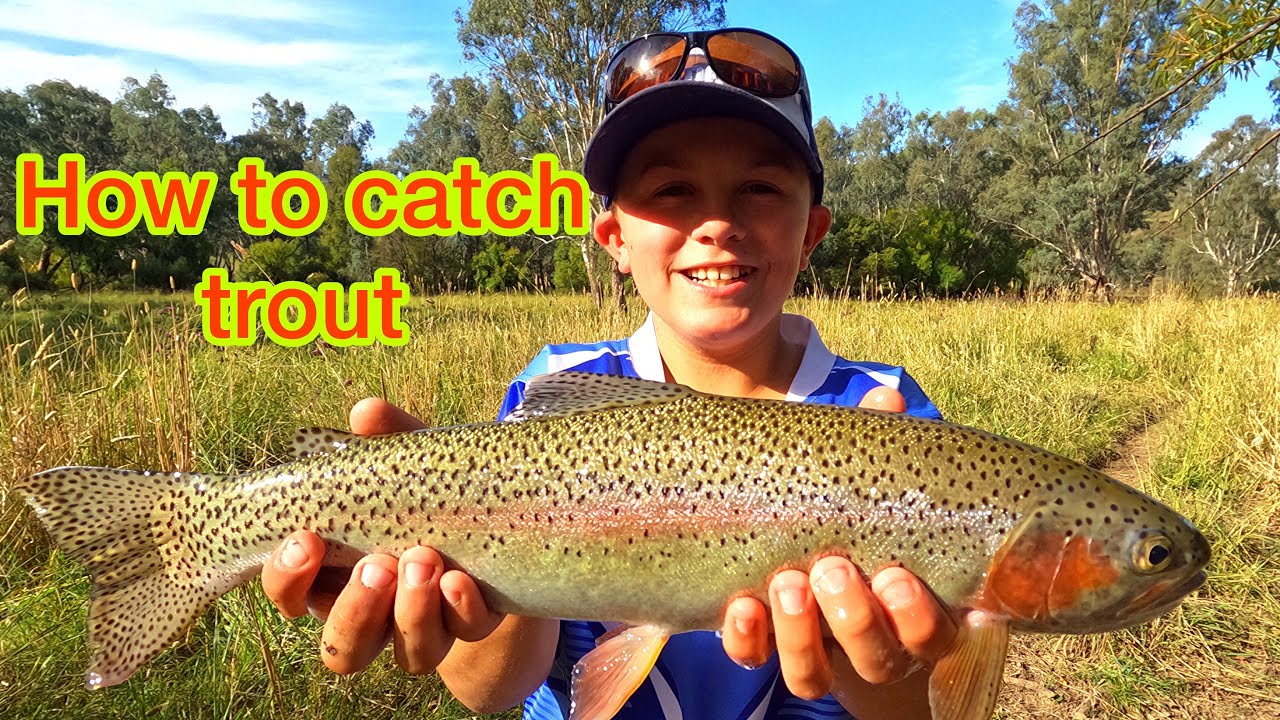 How to catch trout in Australian rivers - YouTube