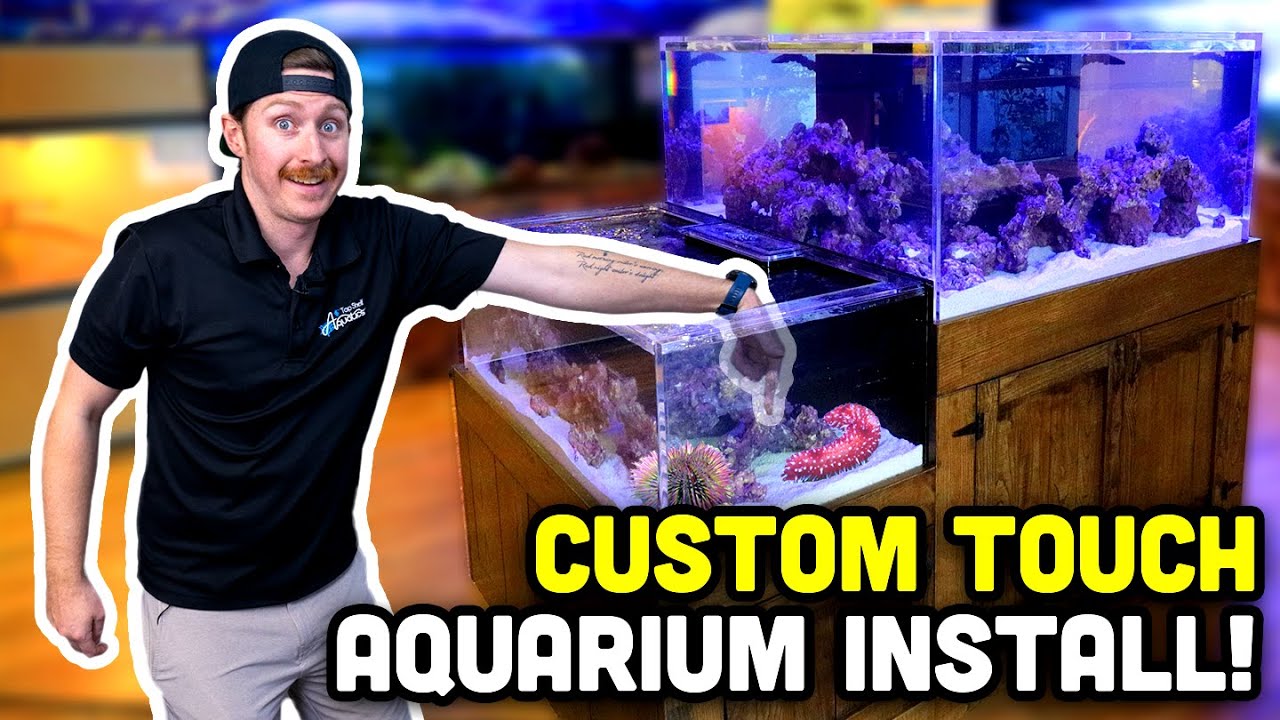 Installing a BRAND NEW Touch Tank! - YouTube