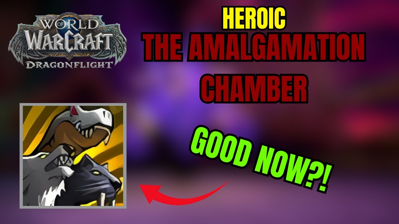 HEROIC Amalgamation Chamber Kill | Beast Mastery Hunter PoV - YouTube