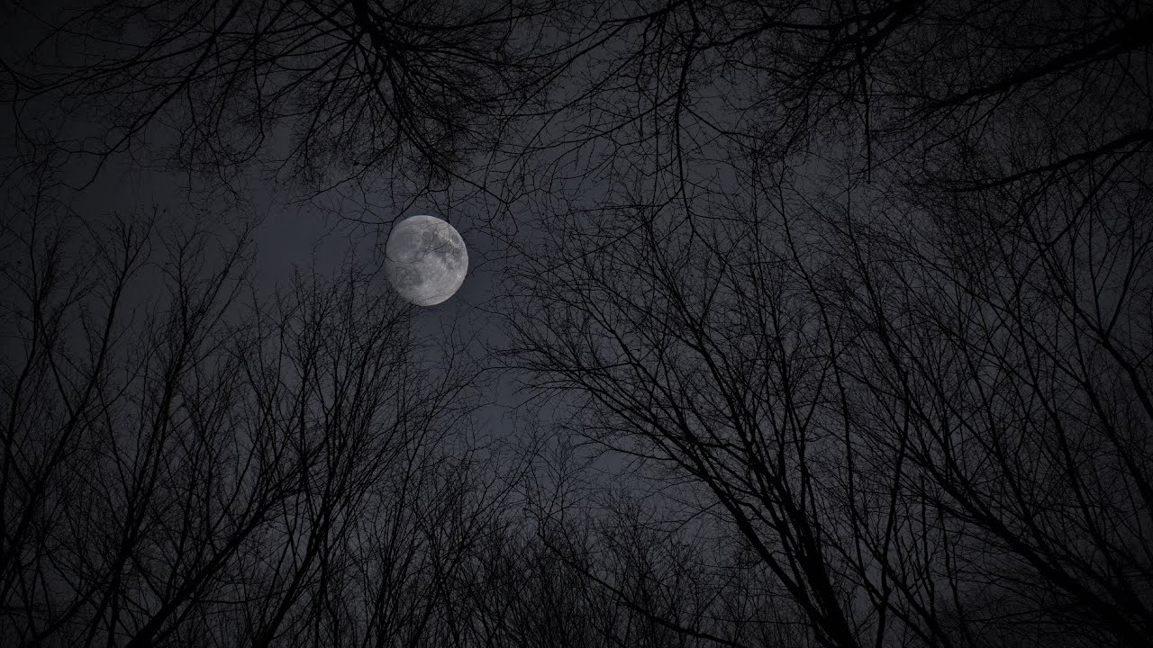 Sleep Background Music - Fall Asleep to Relaxing Soothing Ambient ...