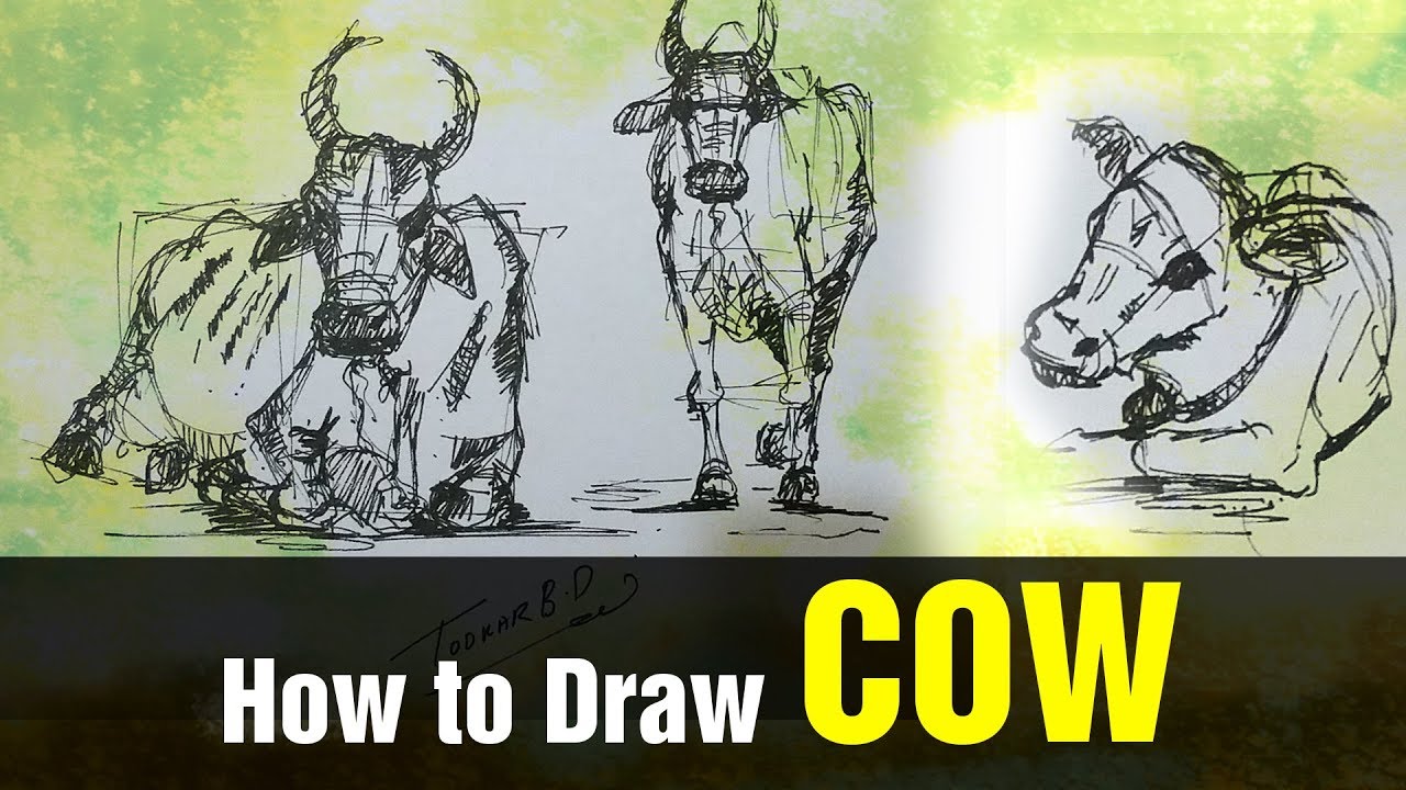 Cow & Bull Drawing | How to draw cow | Cow & Bull Rapid Sketch - YouTube