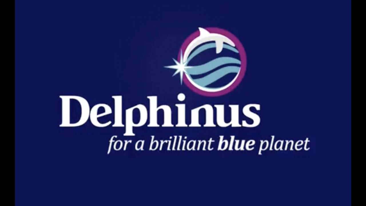 ¿Qué significa ser parte de Delphinus?/ This is how we work l Delphinus ...
