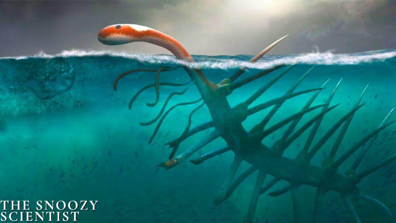 The Bizarre Creatures That Ruled Earth’s First Oceans - YouTube