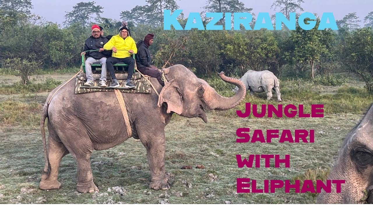 Socha nahi tha kaziranga ja kar Elephant safari korunga. Best ...