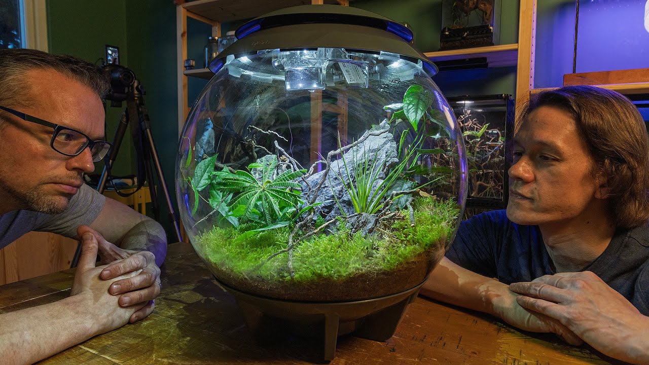 Behind the Scenes biOrb AIR BUILD with Worcester Terrariums (4K) - YouTube