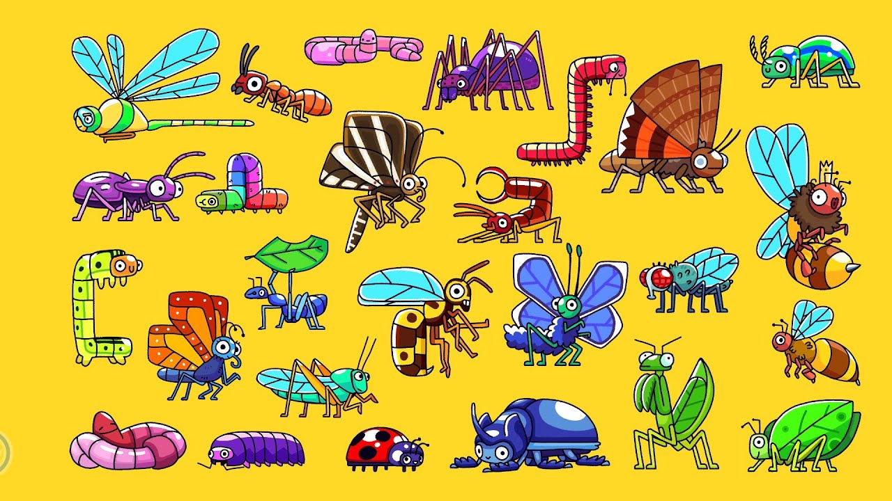 All 26 Insects Name and Sounds With A to Z - Learn Animals name for ...