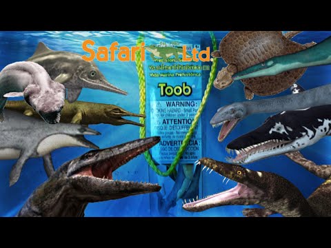 Safari Ltd. || Prehistoric Sea Life Toob || Unboxing and Review - YouTube