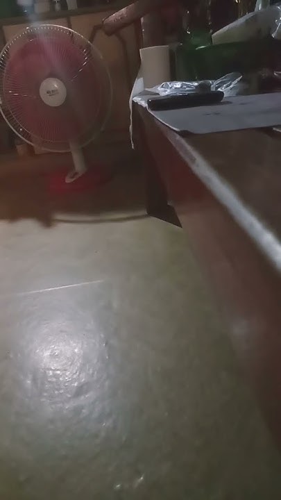 thanks Mr. 787 - YouTube