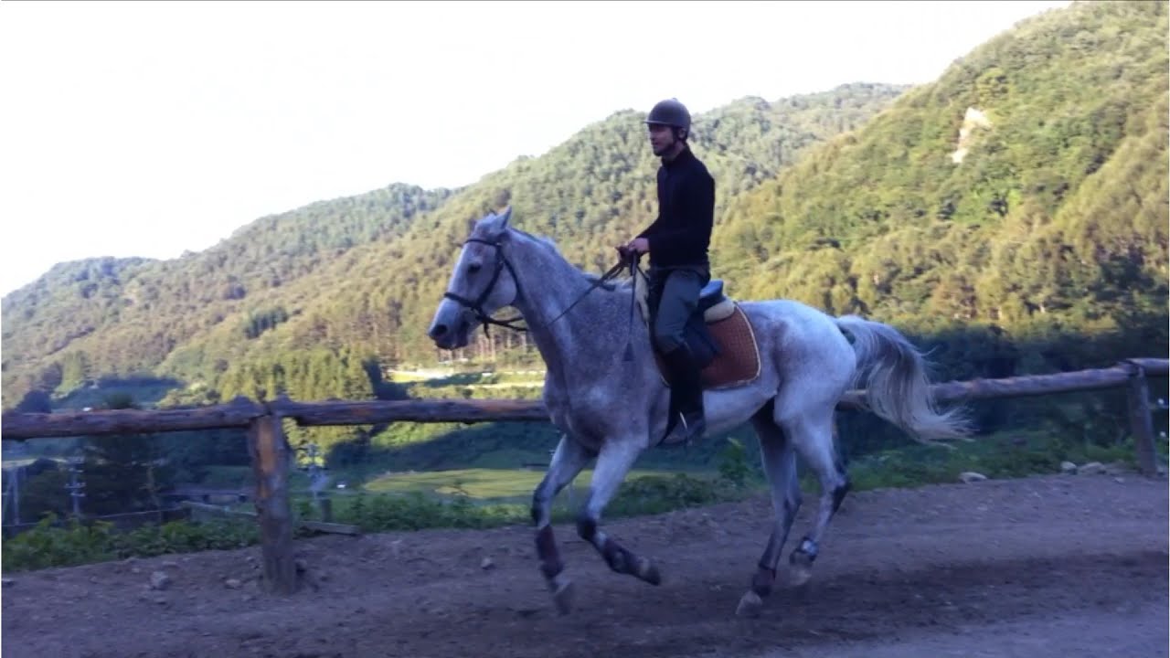 乗馬練習 Horseback Riding Practice /Sep2011 - YouTube