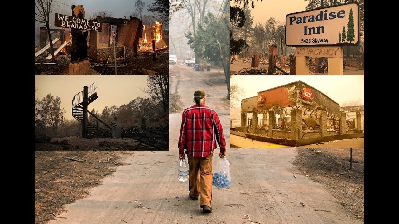 Whats Left after Paradise Camp Fire | Aftermath / Ruins | Over 600 ...