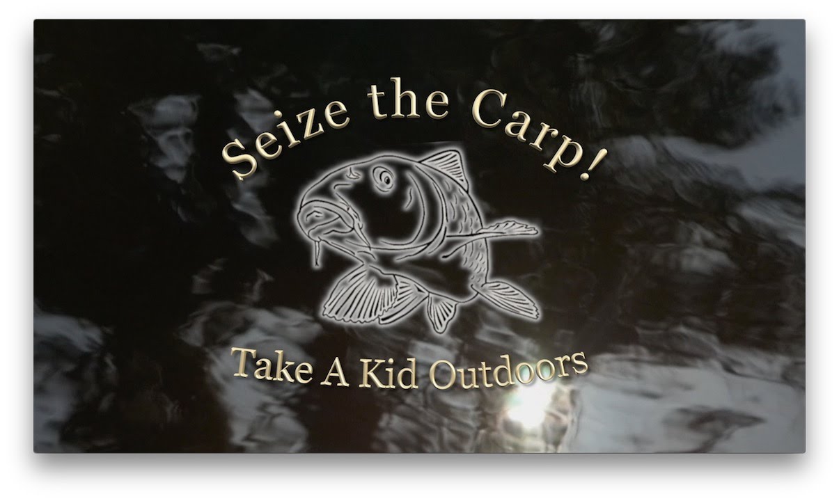 Seize the Carp - August 15, 2015 - YouTube