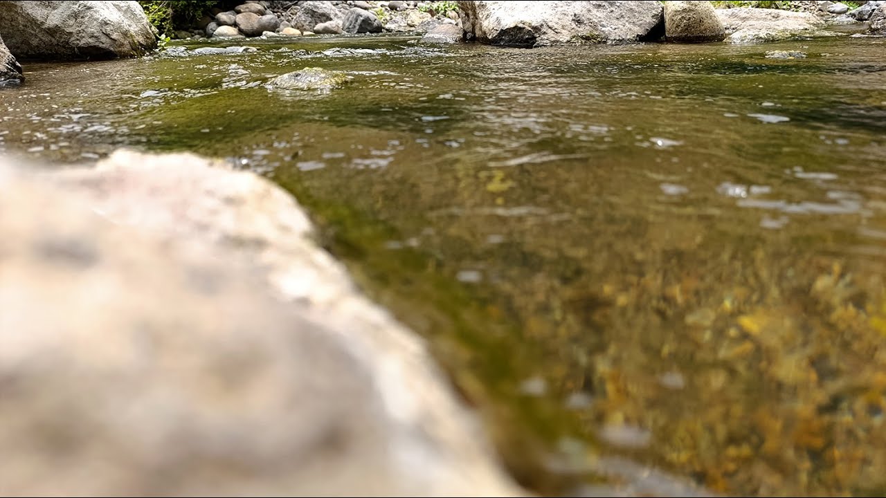 Best Experience the Pure Beauty of a Clear River Stream – A Natural ...