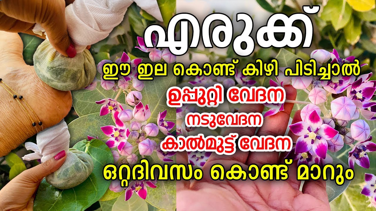 ഉപ്പുറ്റി വേദന,കാൽമുട്ട് വേദന,നടുവേദന എല്ലാം ഒറ്റ ദിവസം കൊണ്ട് മാറ്റാം ...