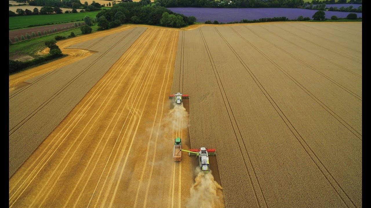 Bringing in the Harvest August'17 Claas Combine Harvesters - YouTube