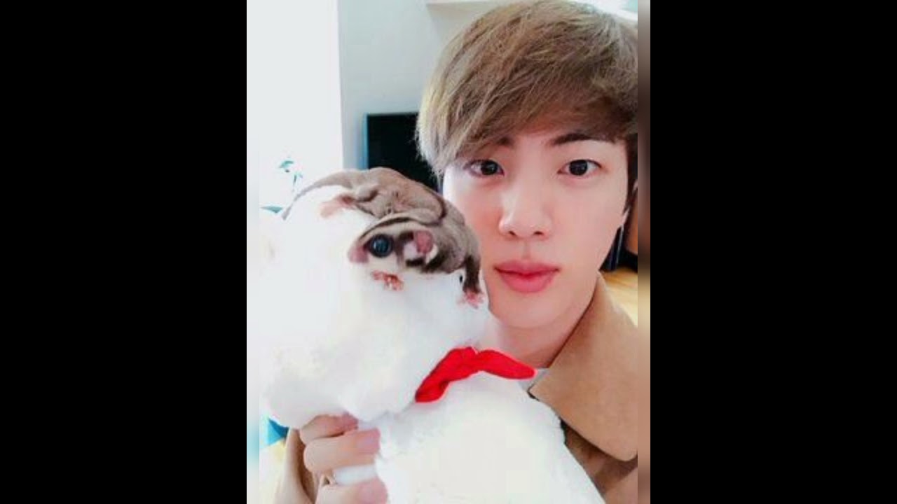 Tonight - Jin (When jin lost his pets forever)💔 #bts #jin #pets # ...
