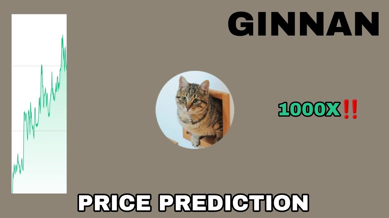 GINNAN TOKEN TO THE MOON‼️ GINNAN THE CAT PRICE PREDICTION 1000X GAINS‼ ...
