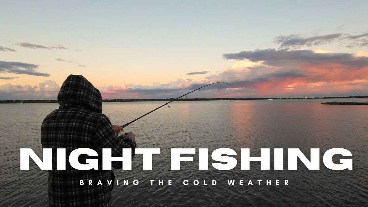 Night Fishing Runaway Bay - Good Amount Of Fish Caught - YouTube
