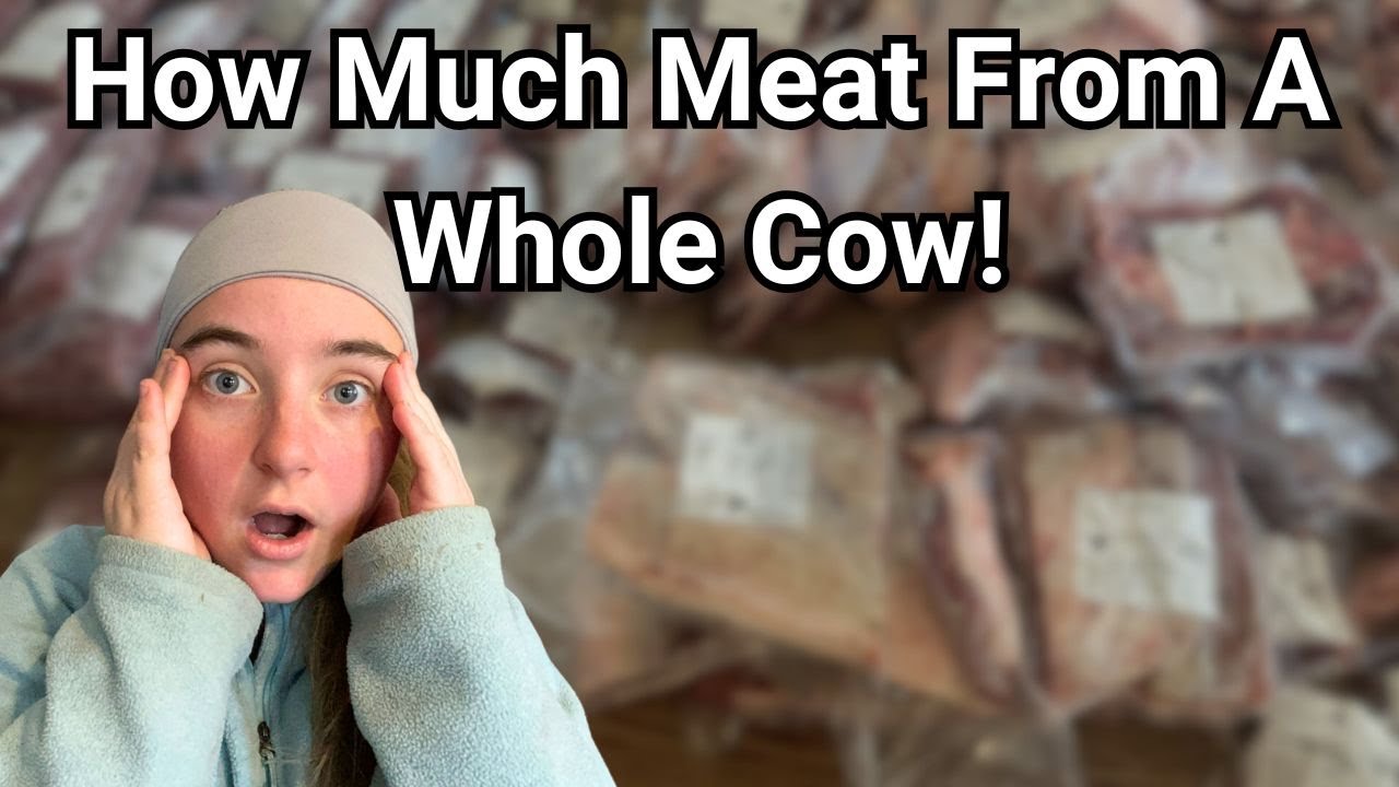 What AMAZING Amount Of Meat Comes From ONE Cow? - YouTube