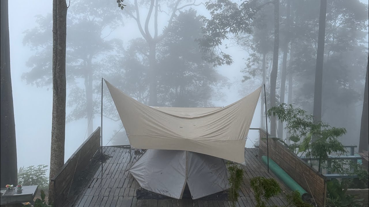 Rainforest Park, Genting Sempah |Rashid, camping dan tanah tinggi ...