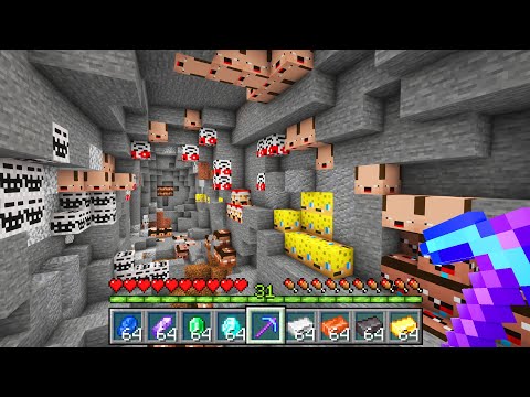 MİNECRAFT 1000$ YOUTUBER MADENLERİ !! - Minecraft