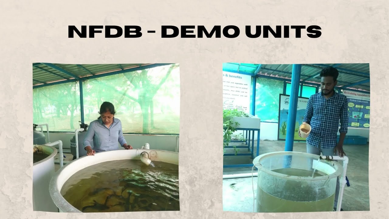 NFDB INTERNSHIP PROGRAM-2021 - YouTube