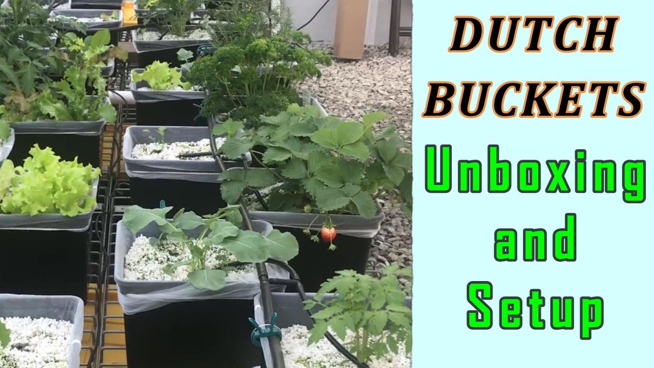 Hydroponic System Unboxing - Dutch/Bato Buckets Complete Setup/Fast and ...