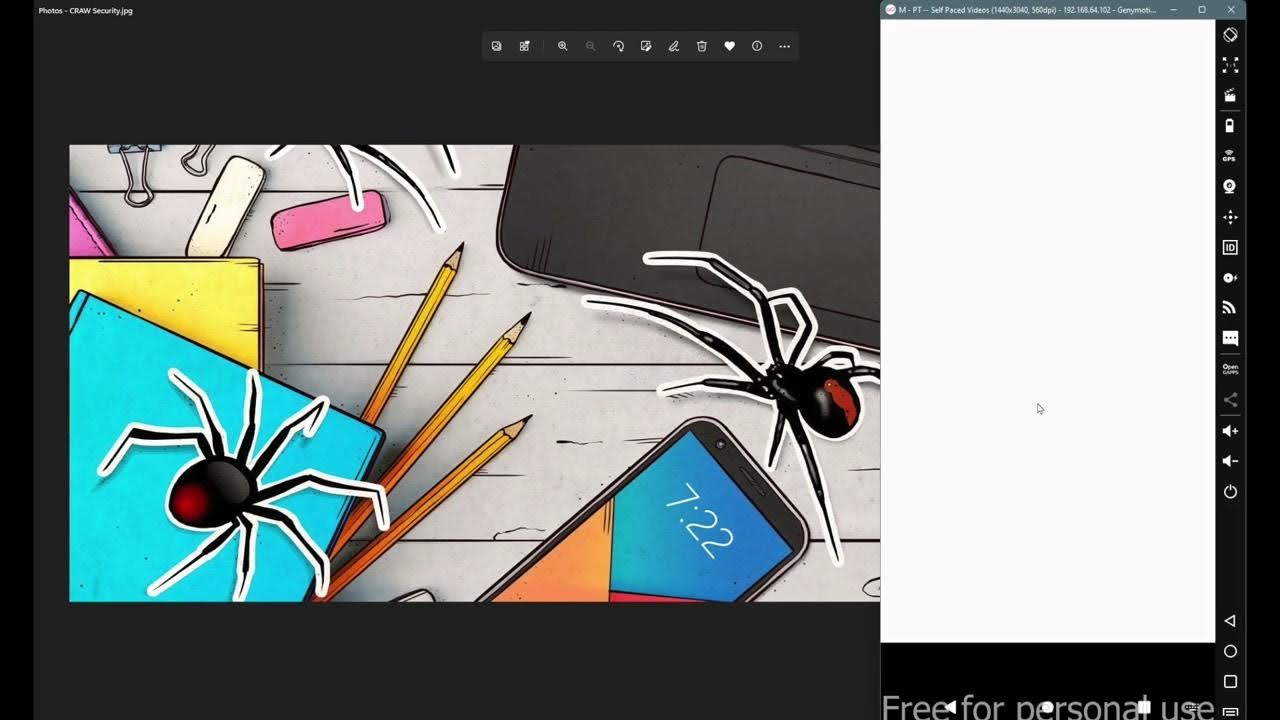4.13 DIVA Beta Application Improper - Input Validation Issue Part 3 - YouTube