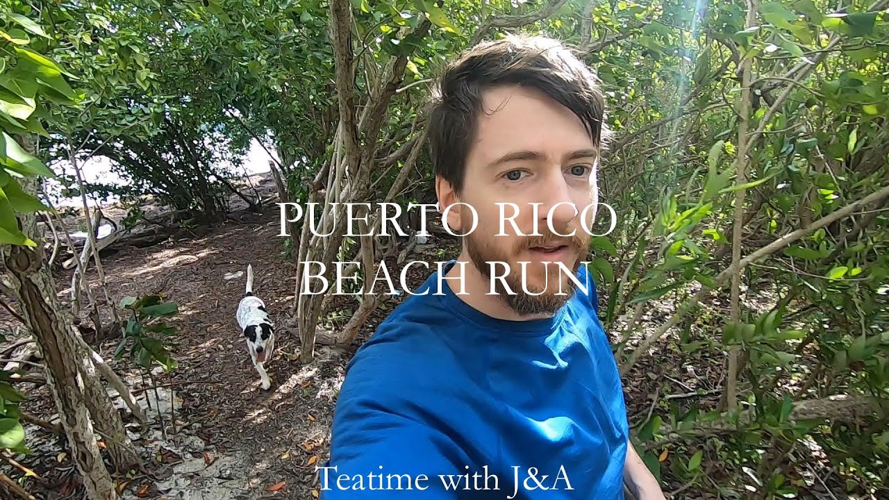 Beach run in Puerto Rico with a Random Dog - YouTube