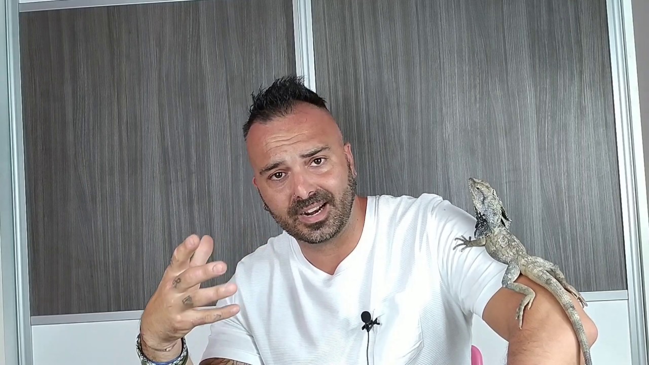 ME QUIEREN CERRAR EL CANAL!!!SERGIO EXOTICS!!! - YouTube