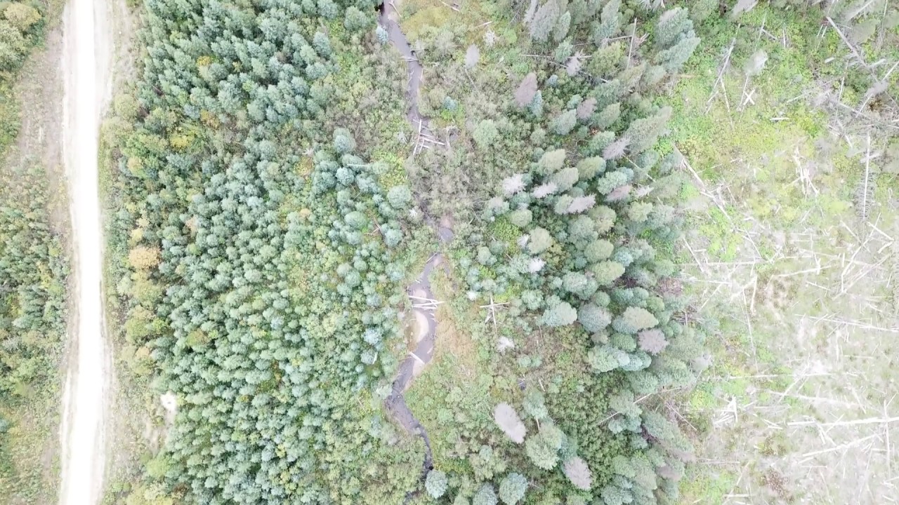 Fish Passage Restoration Candidate - Parsnip River tributary - PARS ...