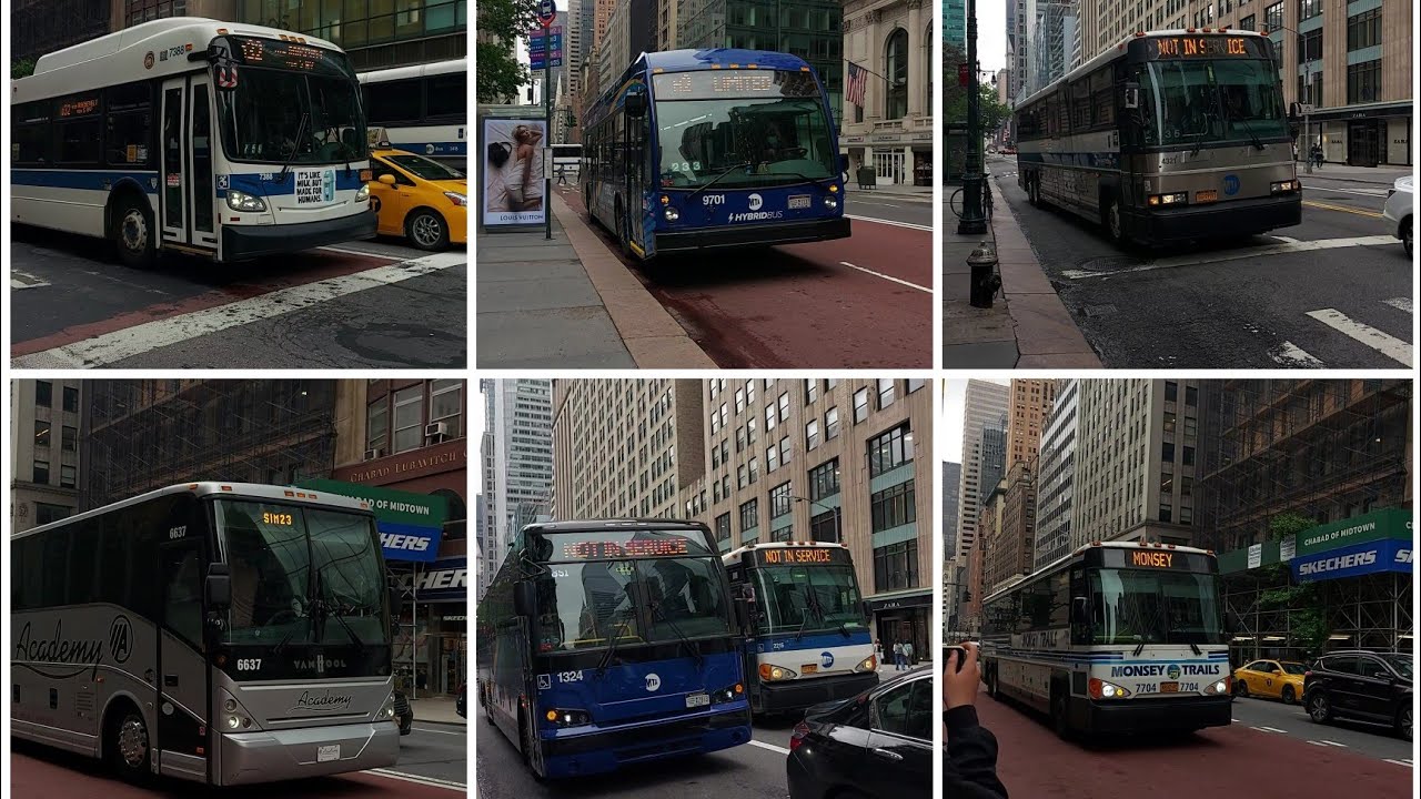 MTA/Academy/Coach USA/Bee Line/Newark Airport Express (NJT) /Monsey ...