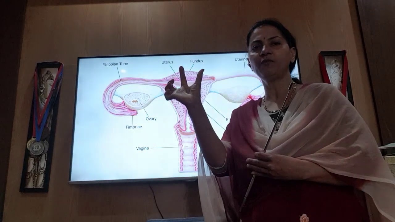 Anatomy of Vagina - YouTube